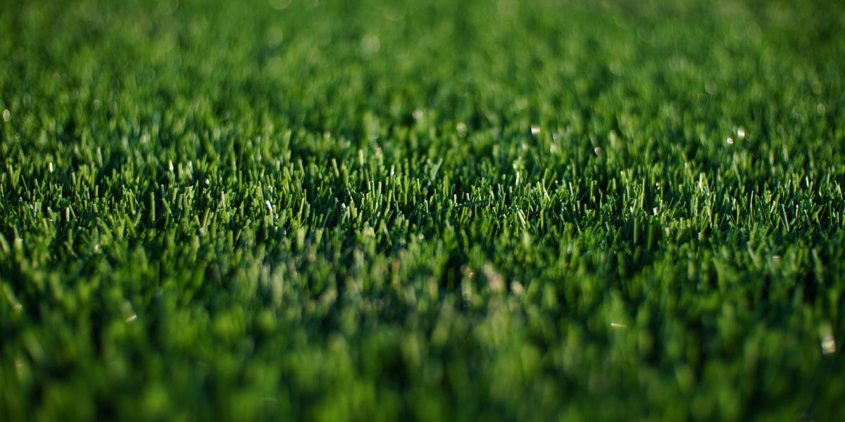 Turf Vs Artificial Grass - Sonoran Landscape Design Inc.