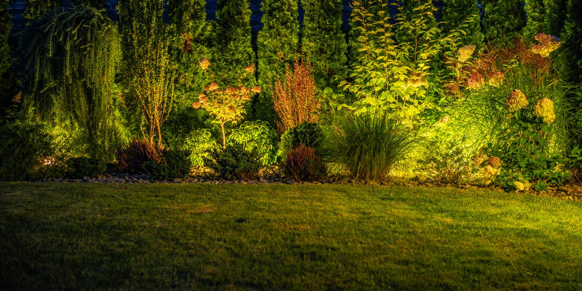 Where To Place Landscape Lighting | Sonoran Landscape Design Inc.